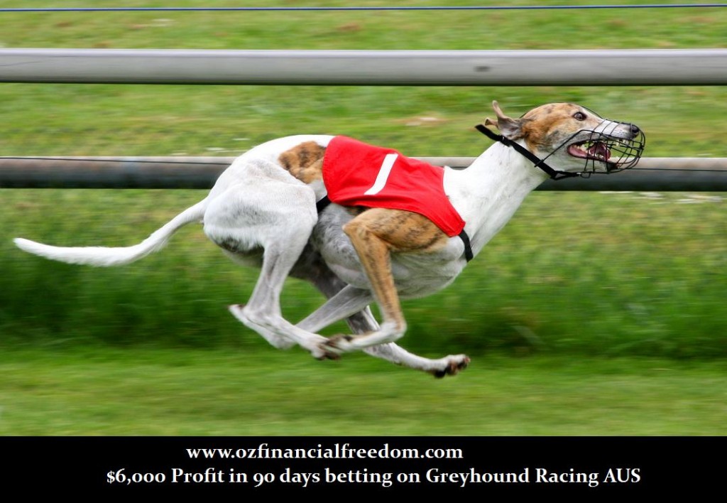 Bullseye Greyhound Betting System - Professional Punting Systems